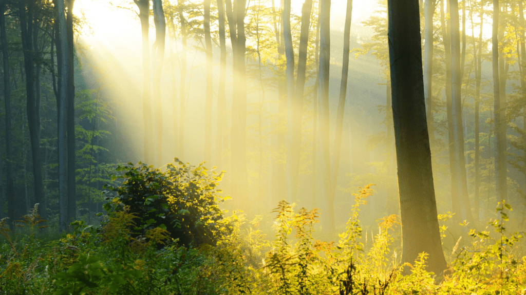 Unconditional Love • Love Heals • ACIM Story Project