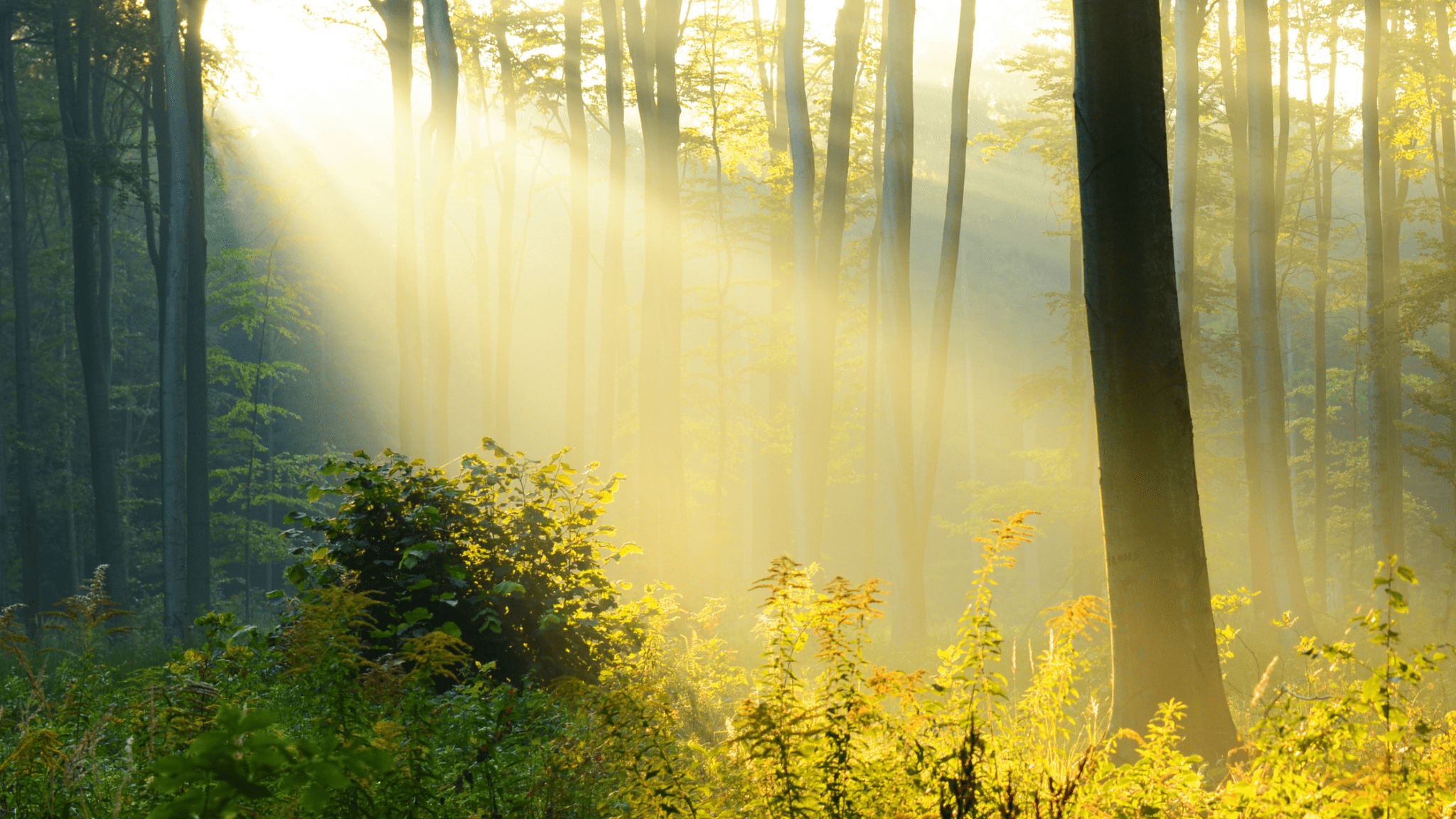 Unconditional Love • Love Heals • ACIM Story Project